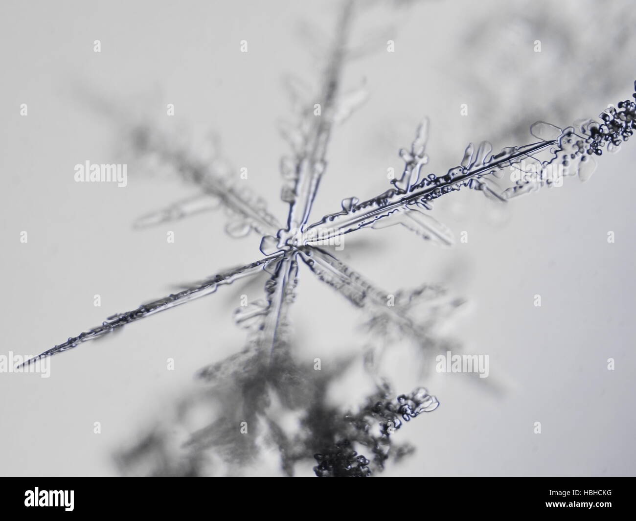 Real snowflakes macro hi-res stock photography and images - Alamy