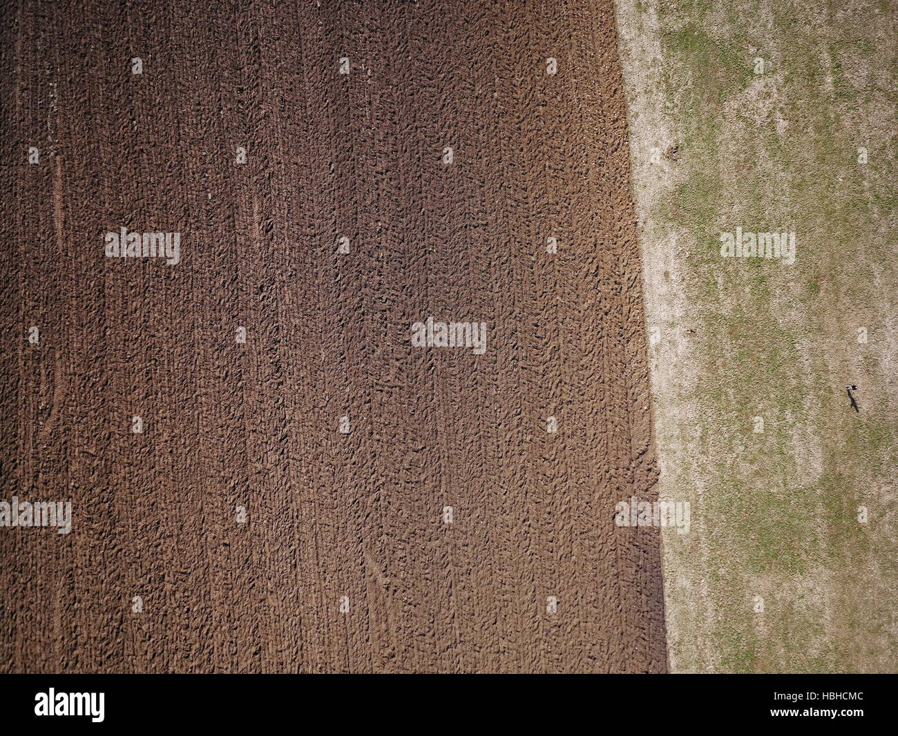 Aerial view of a field Stock Photo - Alamy