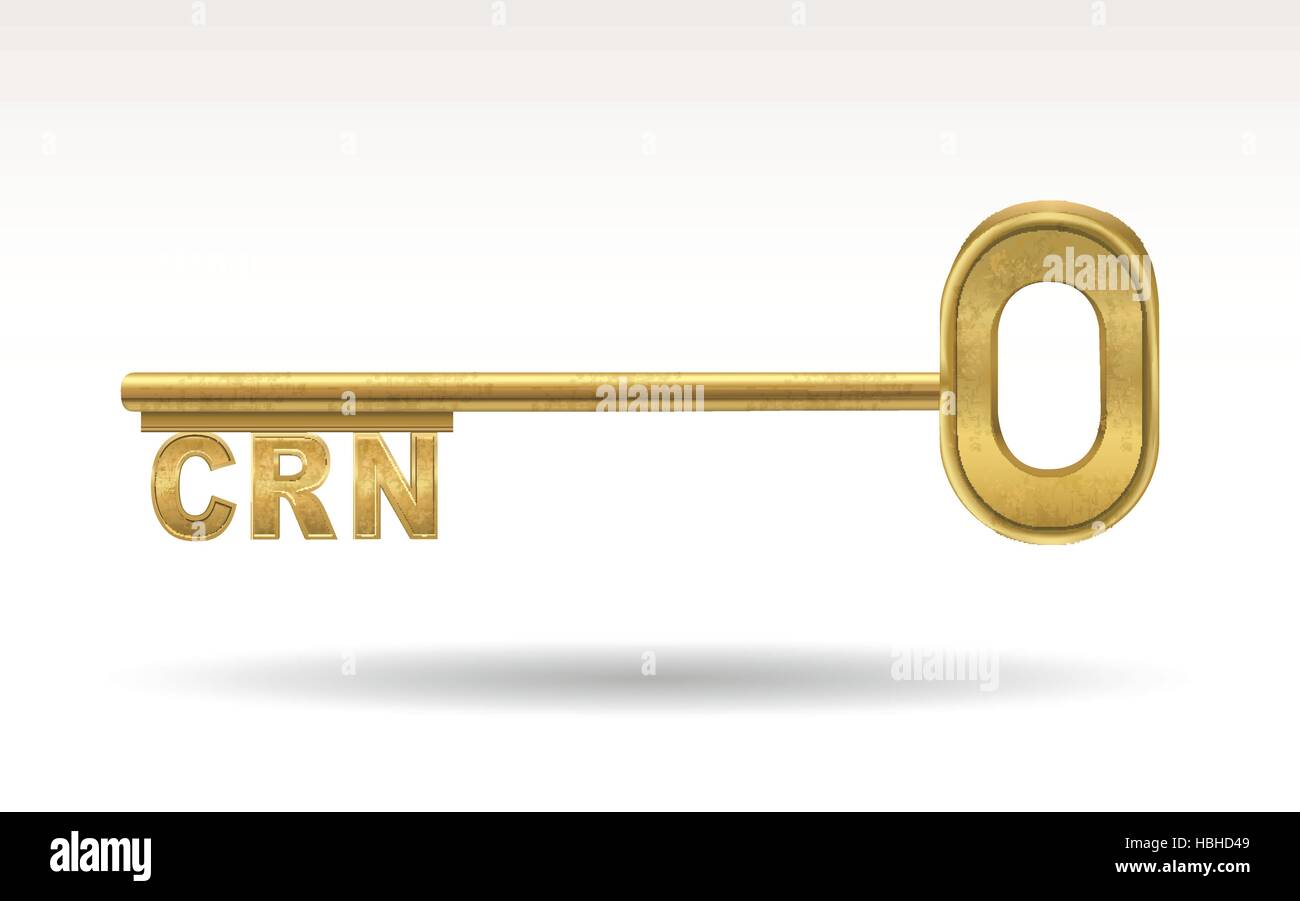 CRM - golden key isolated on white background Stock Vector Image & Art ...