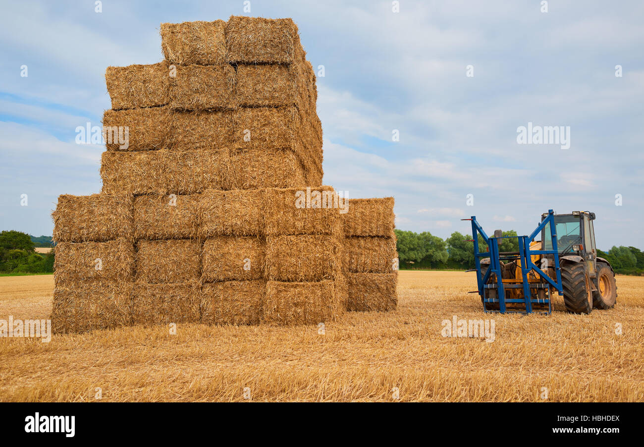 Stacked Hay and a tractor Stock Photo - Alamy