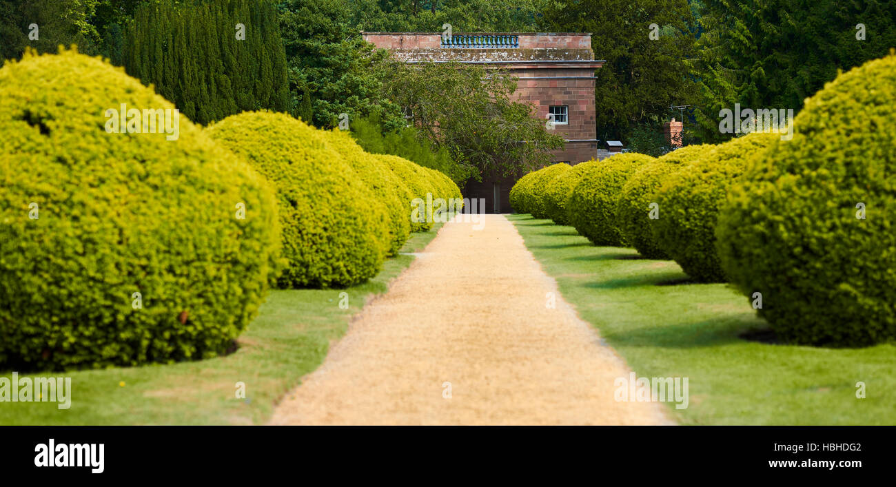 Formal garden path with alley of bushes Stock Photo - Alamy