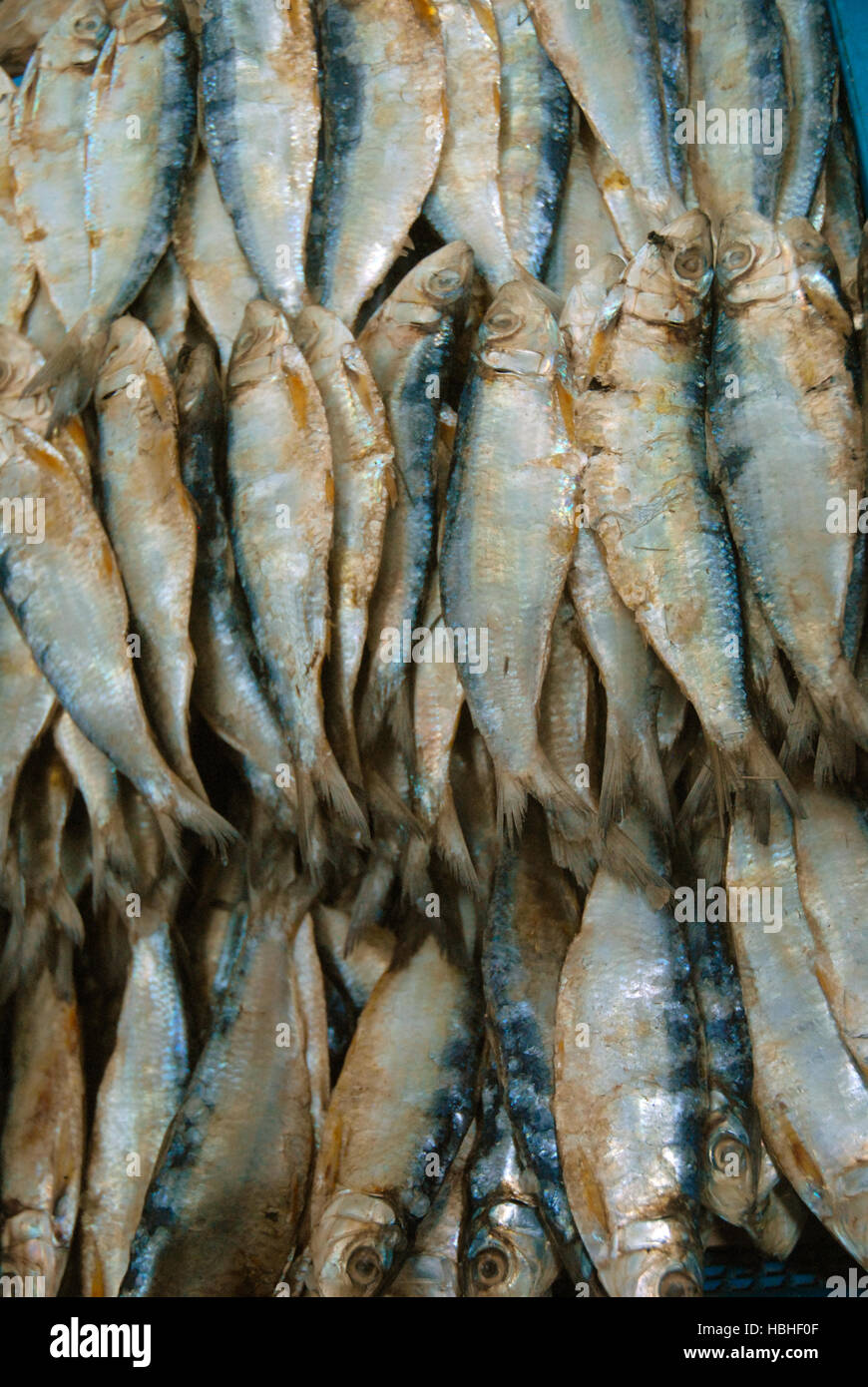 Fish Market, iloilo city, Philippines Stock Photo - Alamy
