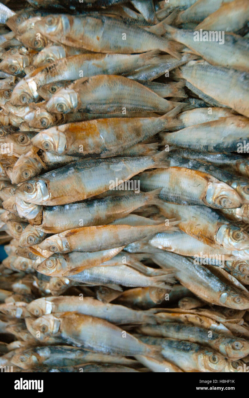 Fish Market, iloilo city, Philippines Stock Photo - Alamy