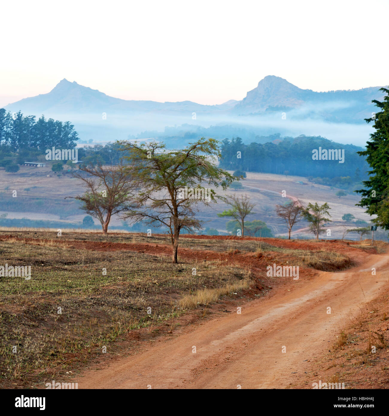 blur in swaziland mlilwane wildlife nature reserve mountain and tree ...