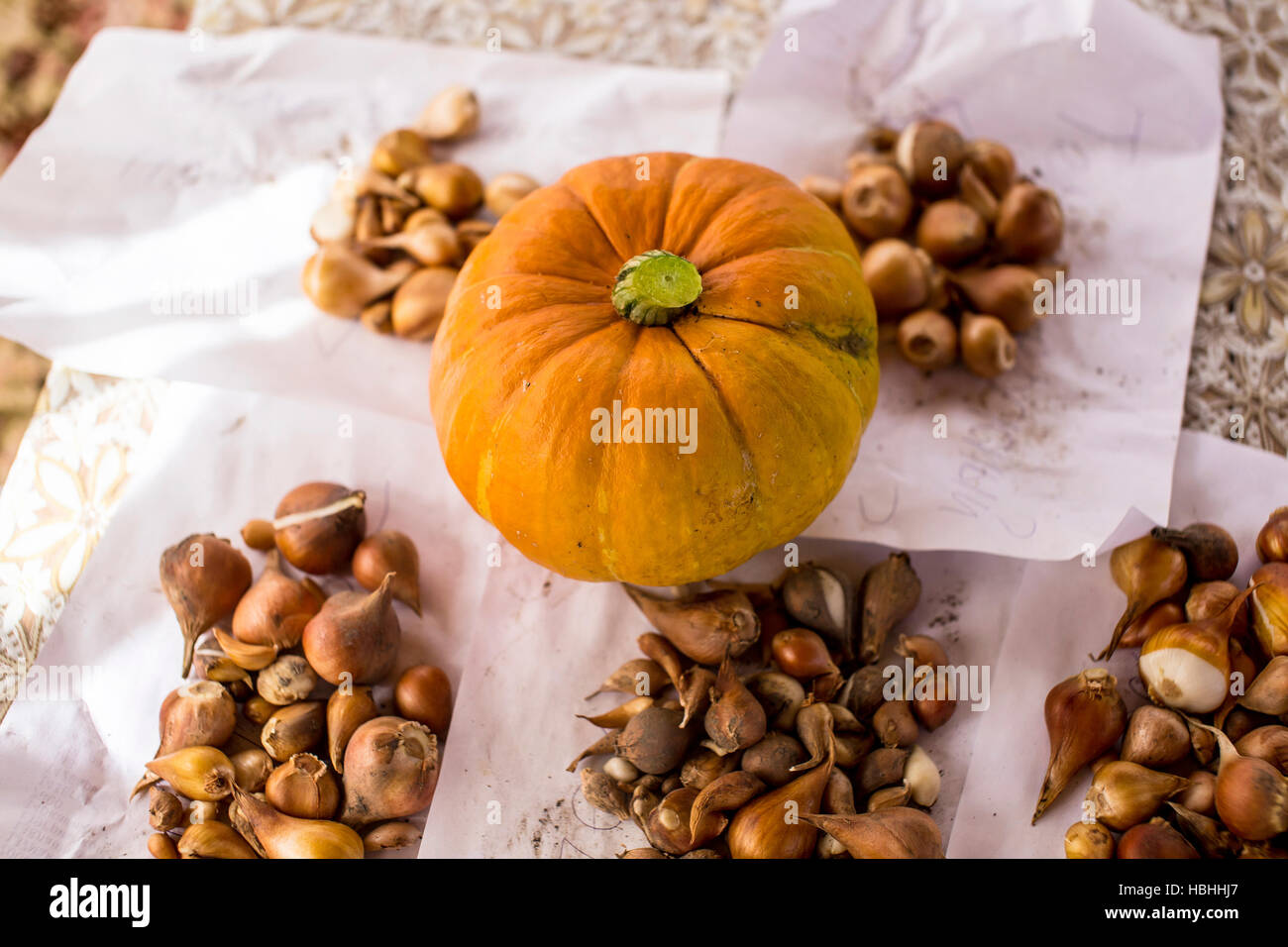 Big Pumpkin in an autumn country fair Stock Photo - Alamy