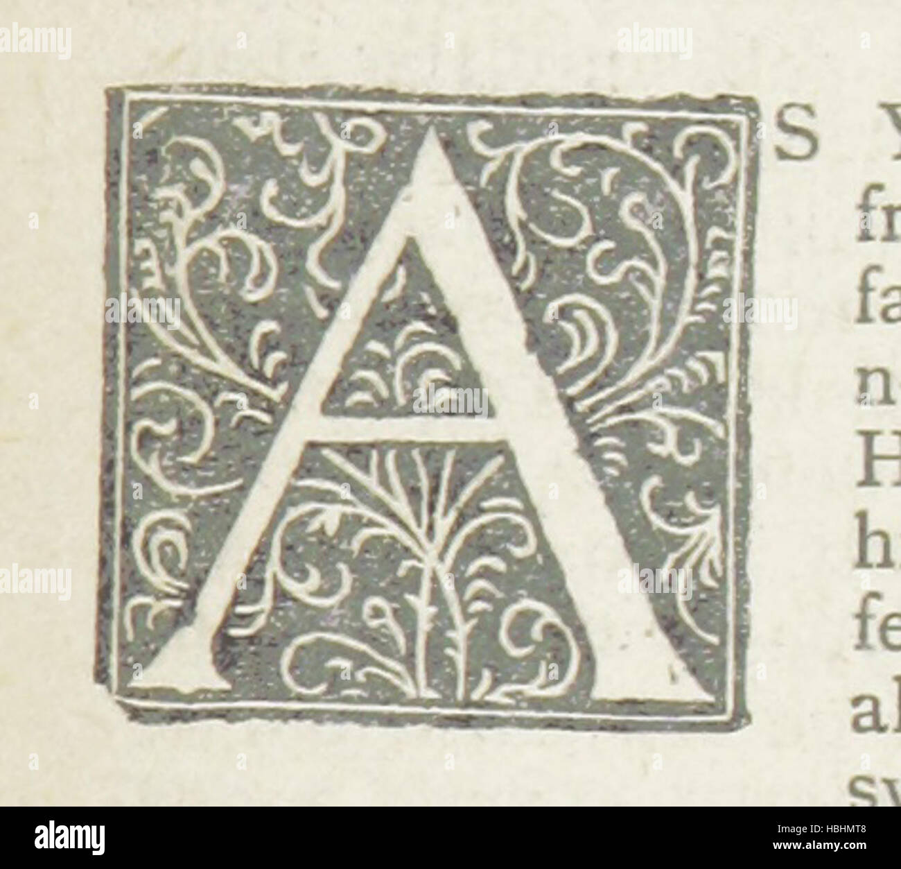 The Yorl of the Northmen; or, the Fate of the English Race. Being the ...