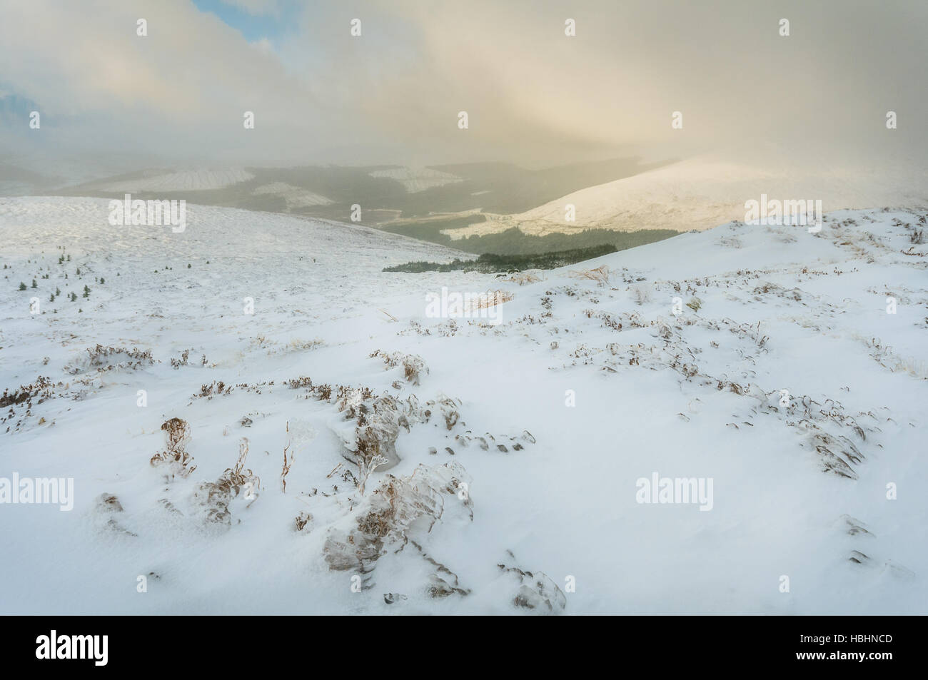 Snow in Wicklow Mountains Stock Photo - Alamy