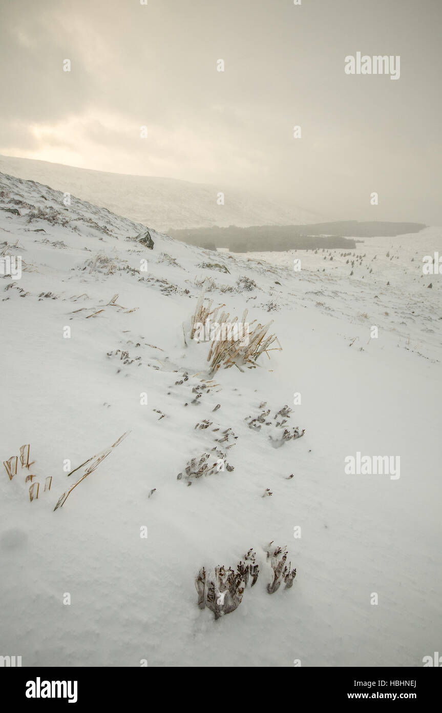 Snow in Wicklow Mountains Stock Photo - Alamy