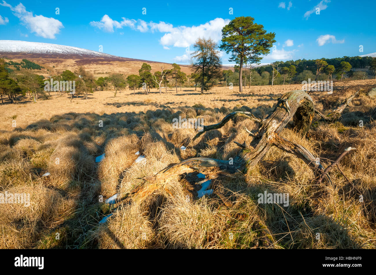 Dublin wicklow national park hi-res stock photography and images - Alamy