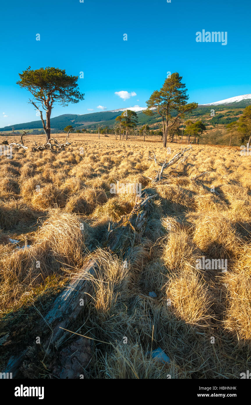 Dublin wicklow national park hi-res stock photography and images - Alamy
