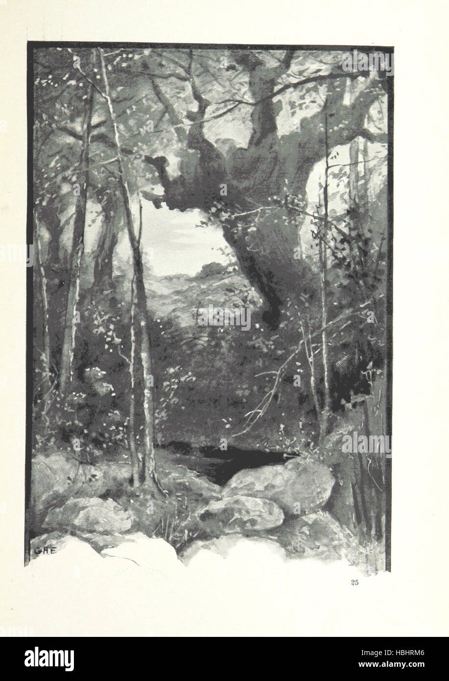 The Chorus of Creation; or varied chante of the great Hymn of Nature ...