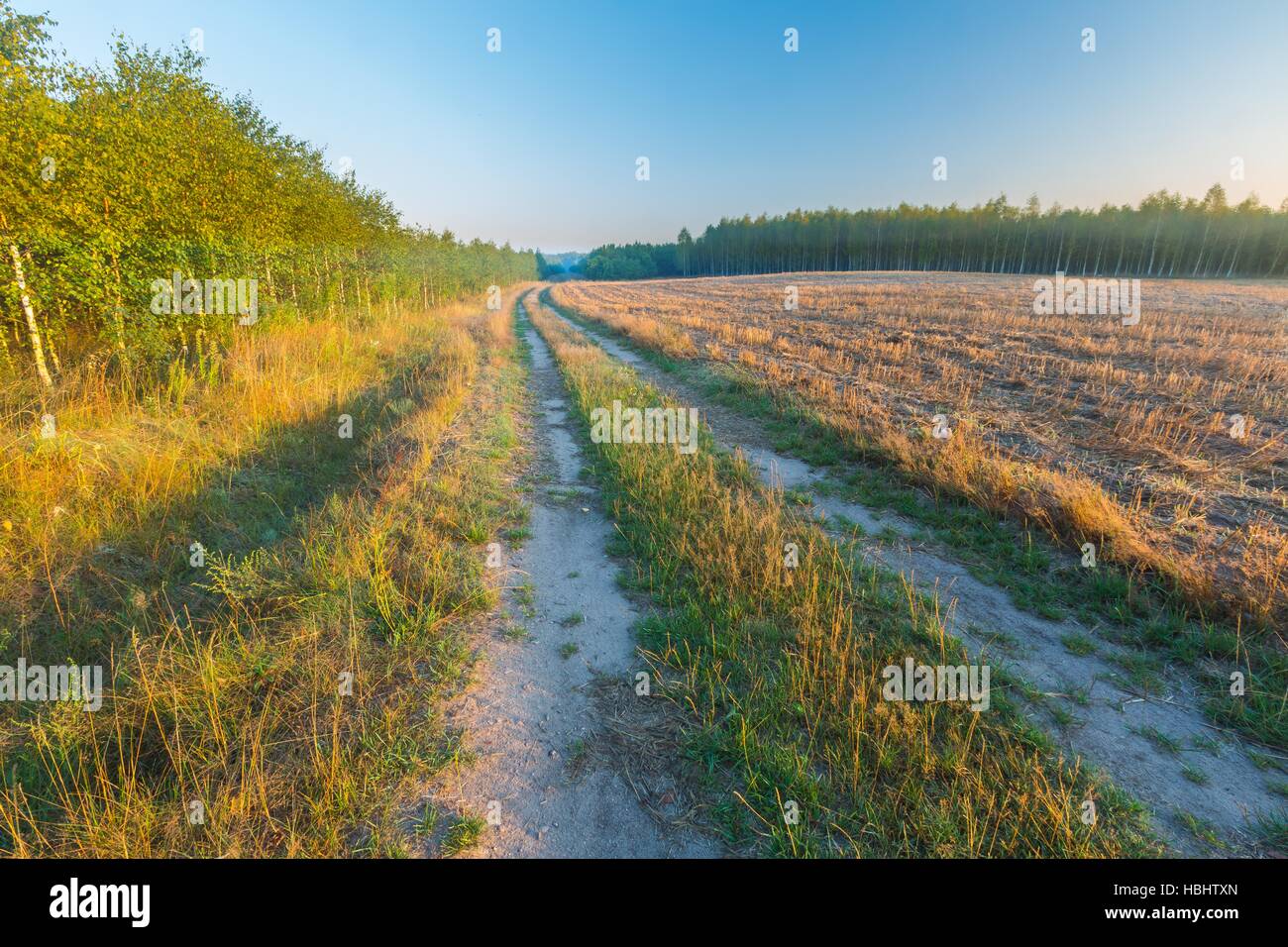 Sunrise landscape with sandy road Stock Photo - Alamy