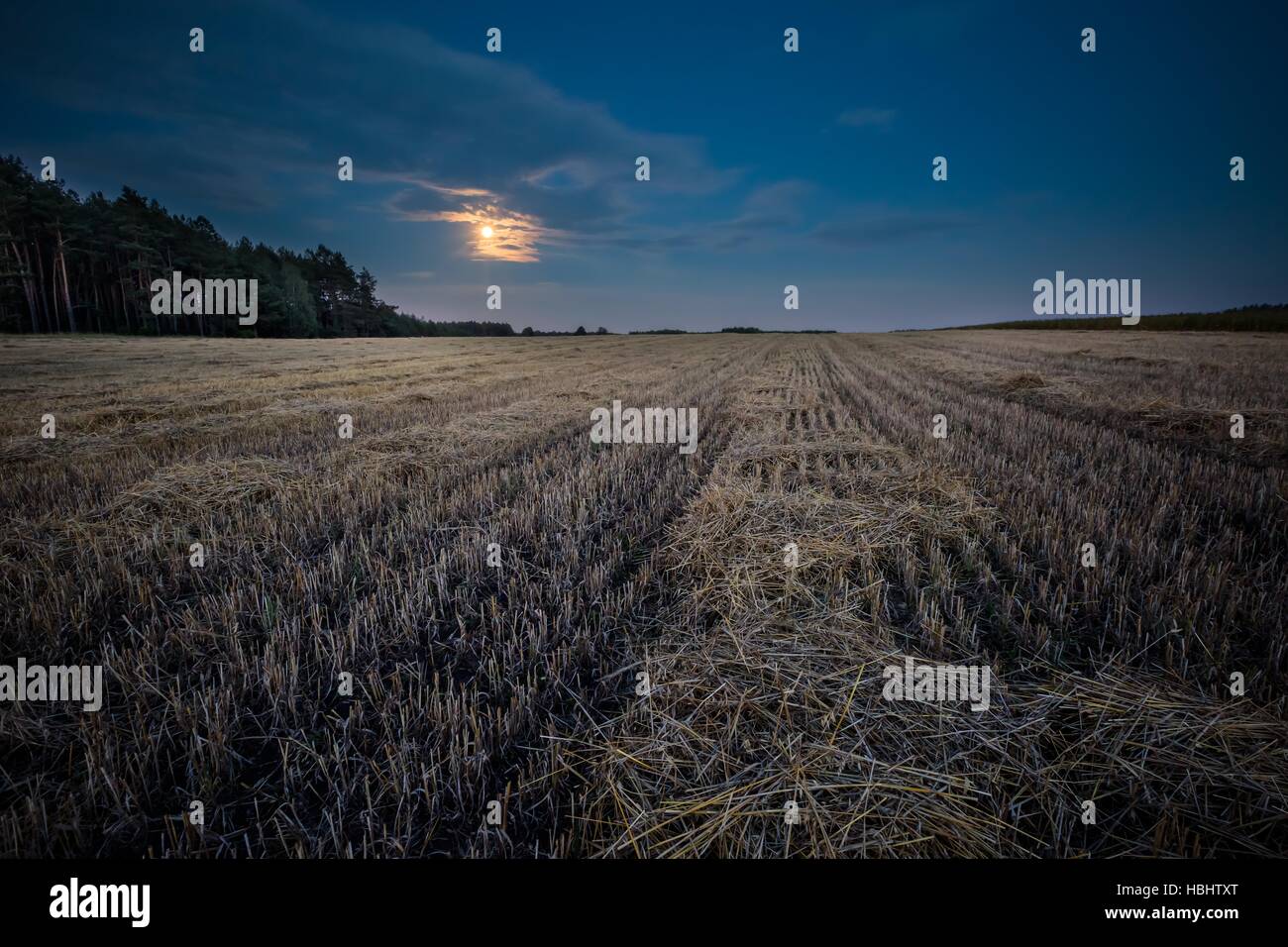 Field landscape under rising moon Stock Photo - Alamy