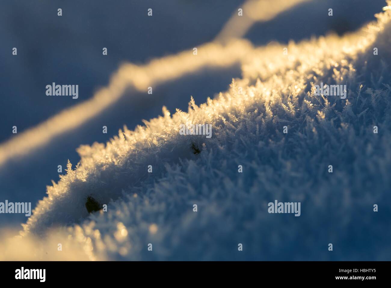 Winter detail frost land landscape hi-res stock photography and images ...