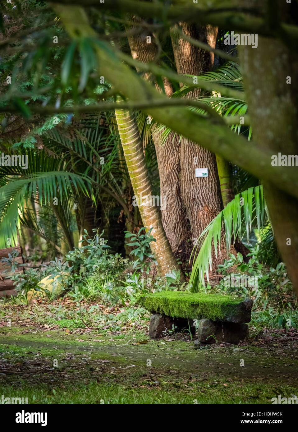 Moss covered bench in a park Stock Photo - Alamy