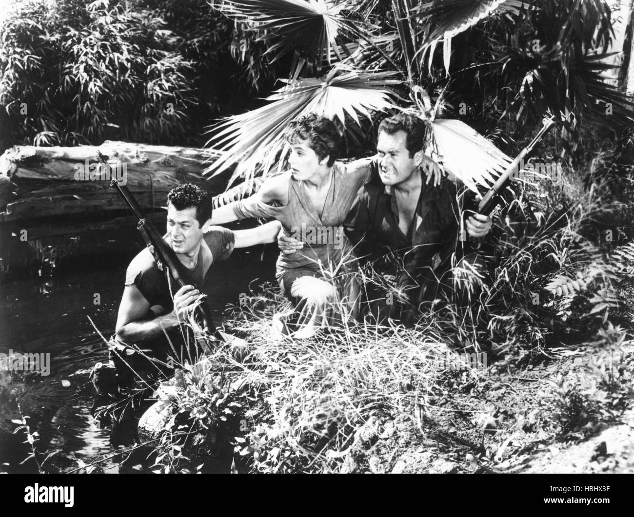 BEACHHEAD, from left: Tony Curtis, Mary Murphy, Frank Lovejoy, 1954 ...