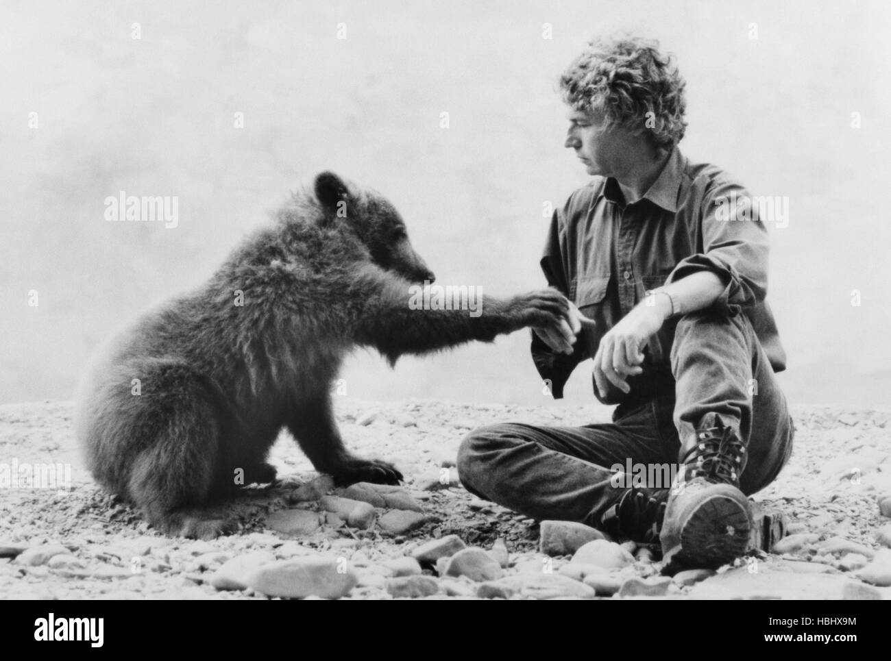 THE BEAR, (aka L'OURS), director Jean-Jacques Annaud, 1988, ©Tri-Star ...