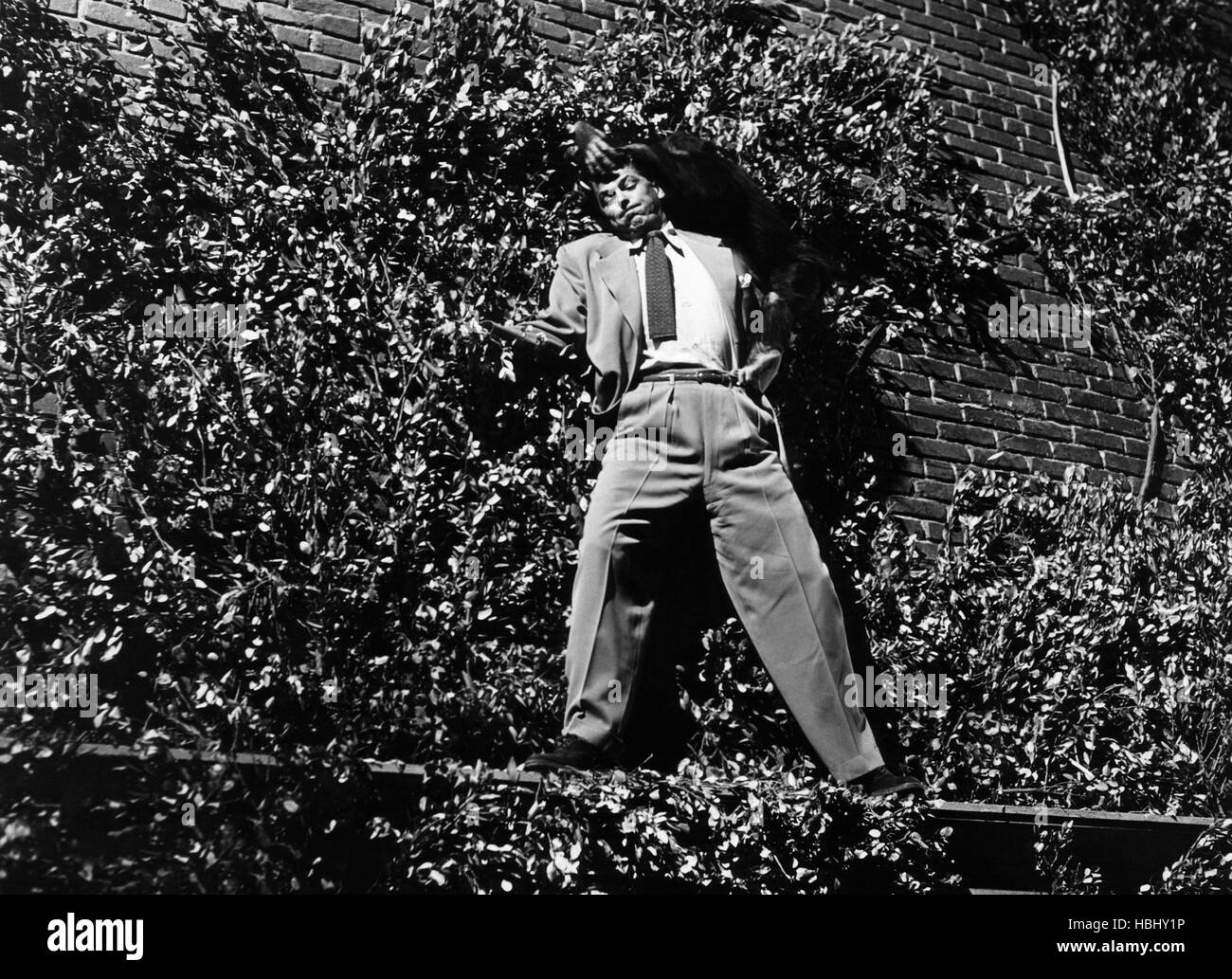 BEDTIME FOR BONZO, Ronald Reagan, 1951 Stock Photo - Alamy