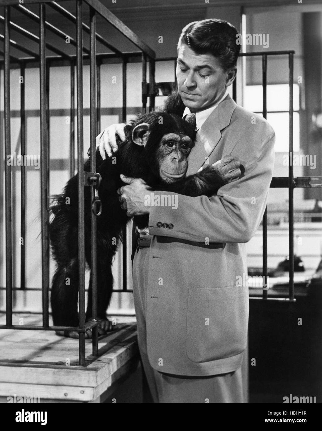 BEDTIME FOR BONZO, Ronald Reagan, 1951 Stock Photo - Alamy