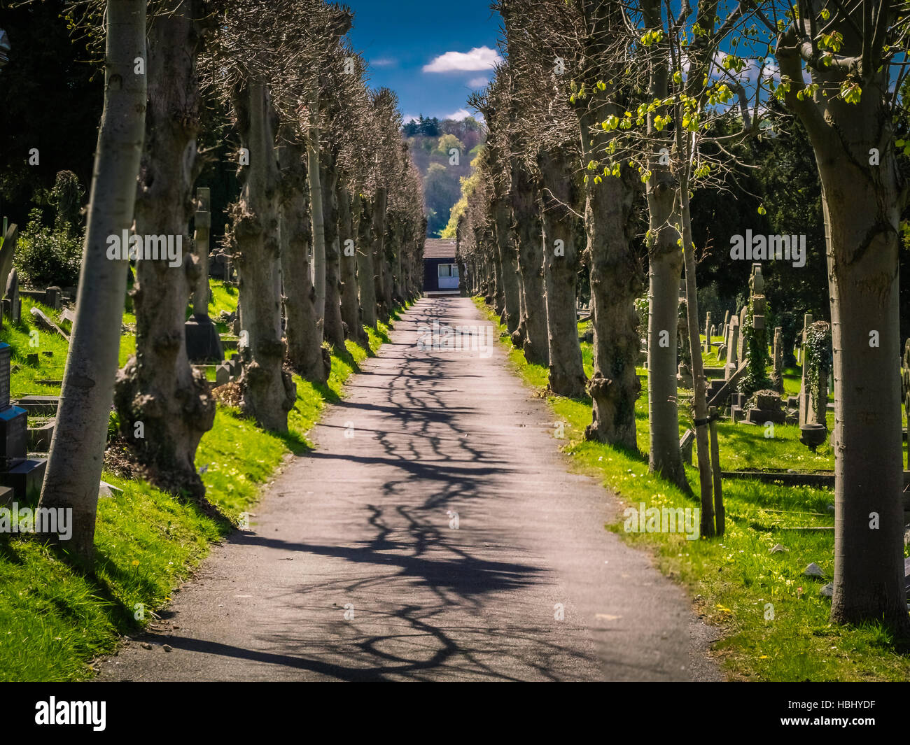 Pathway with christian crosses hi-res stock photography and images - Alamy