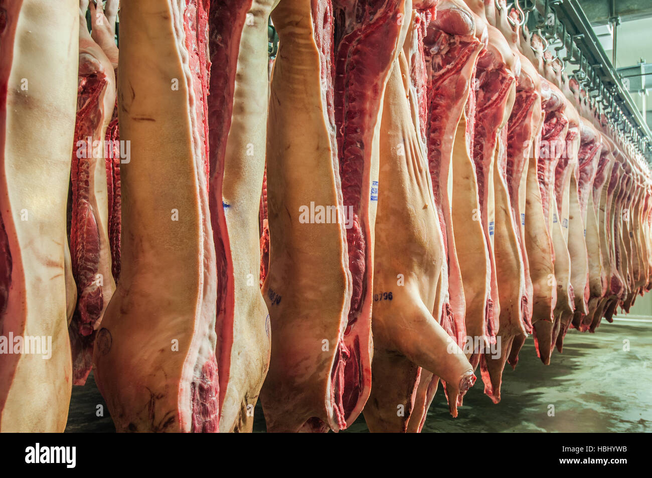 Meat factory worker hi-res stock photography and images - Alamy