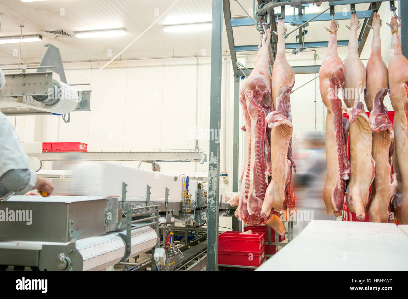 Meat company boar hi-res stock photography and images - Alamy