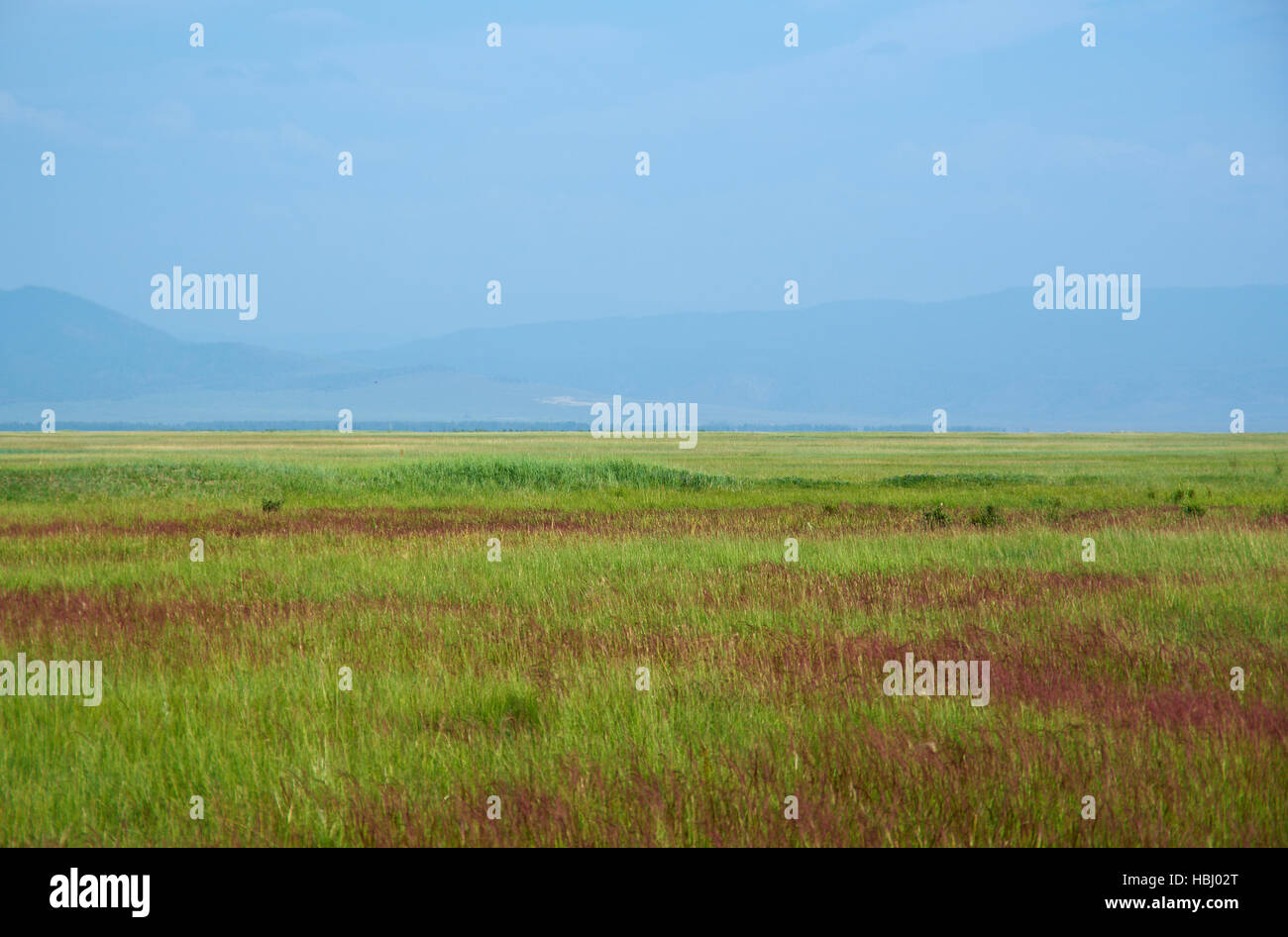 Steppe on a background of mountains Stock Photo - Alamy