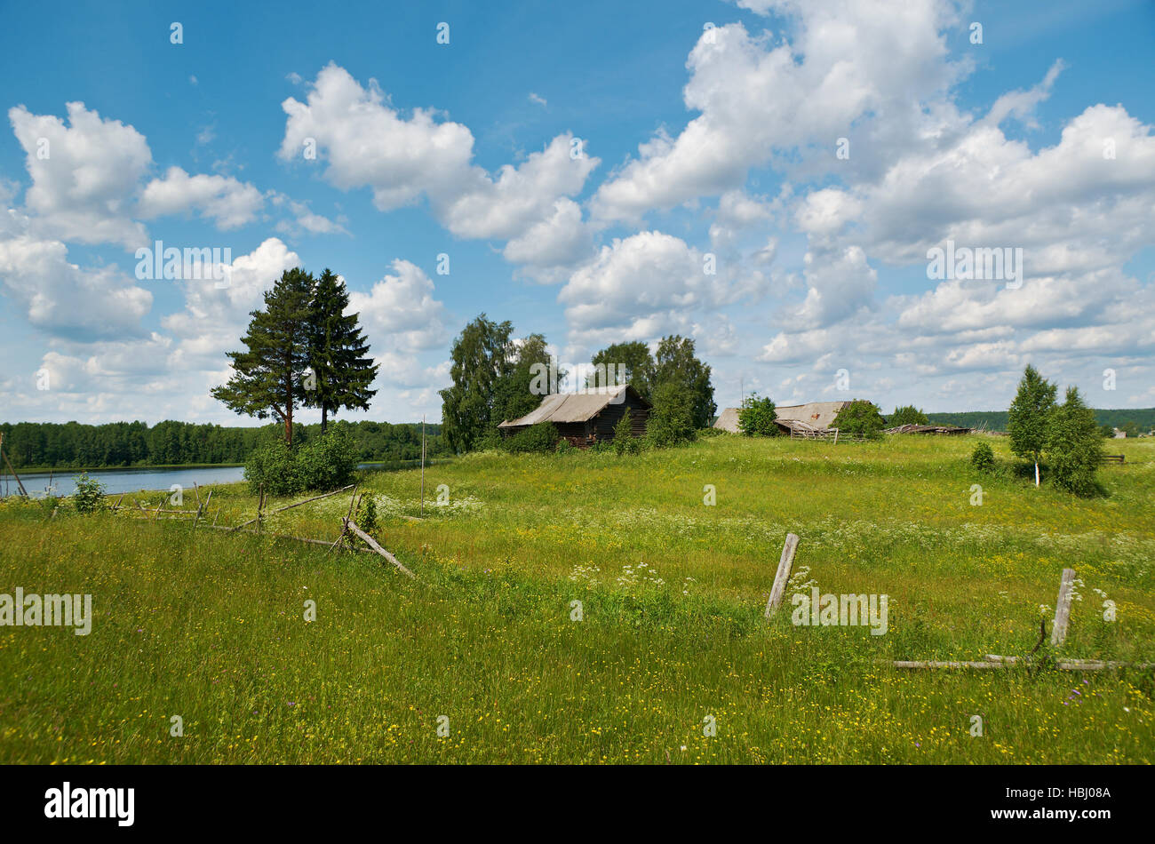 Russian summer meadow Stock Photo - Alamy