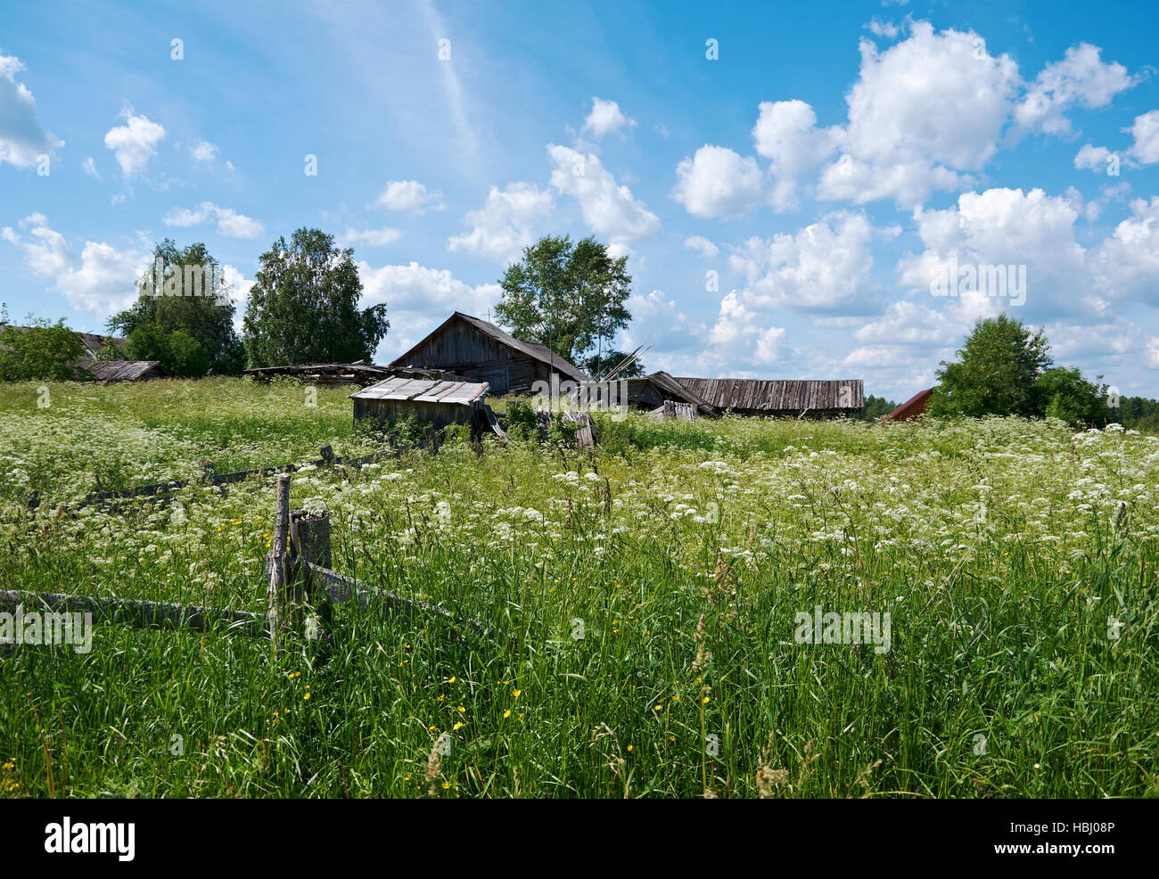 Russian summer meadow Stock Photo - Alamy