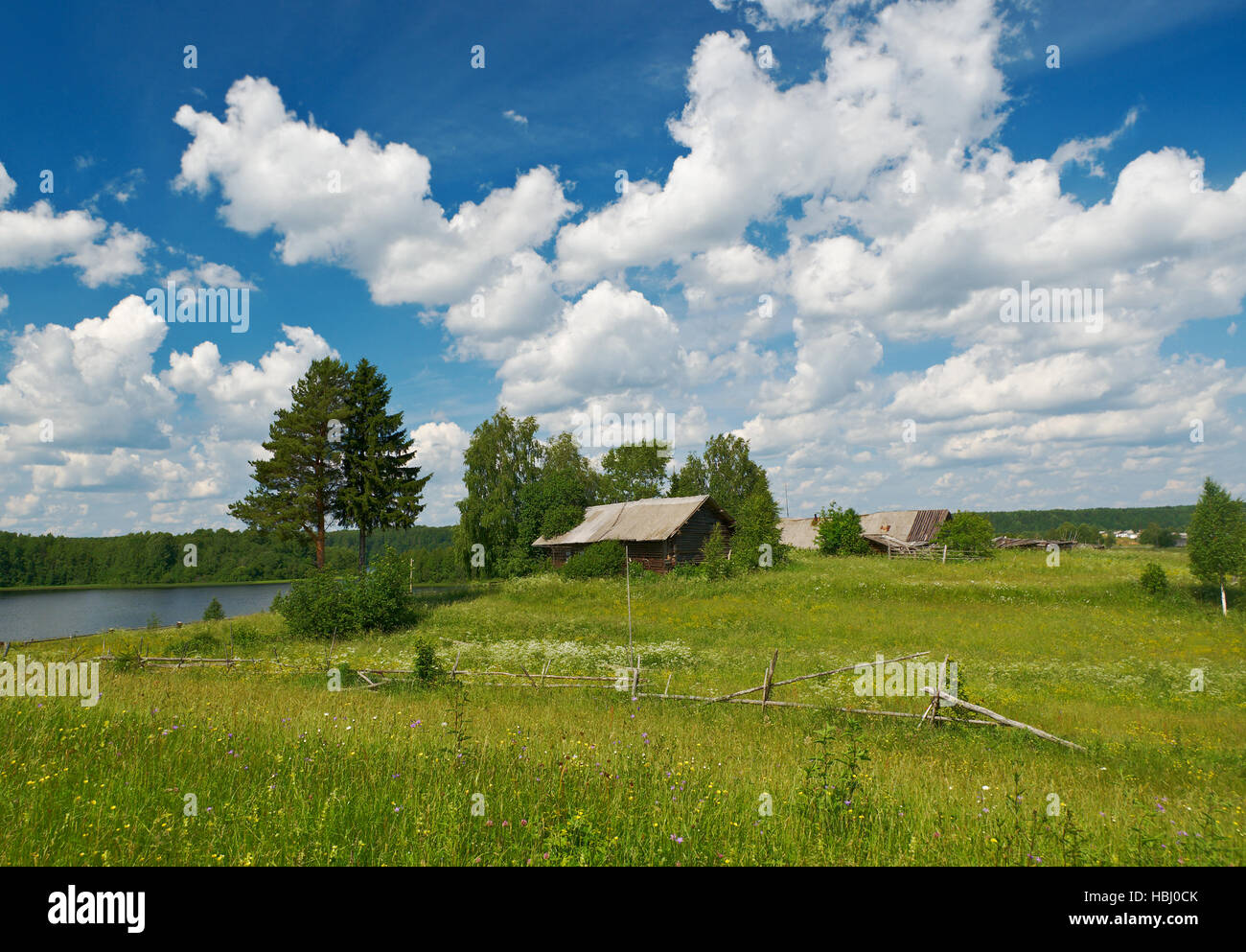Russian summer meadow Stock Photo - Alamy