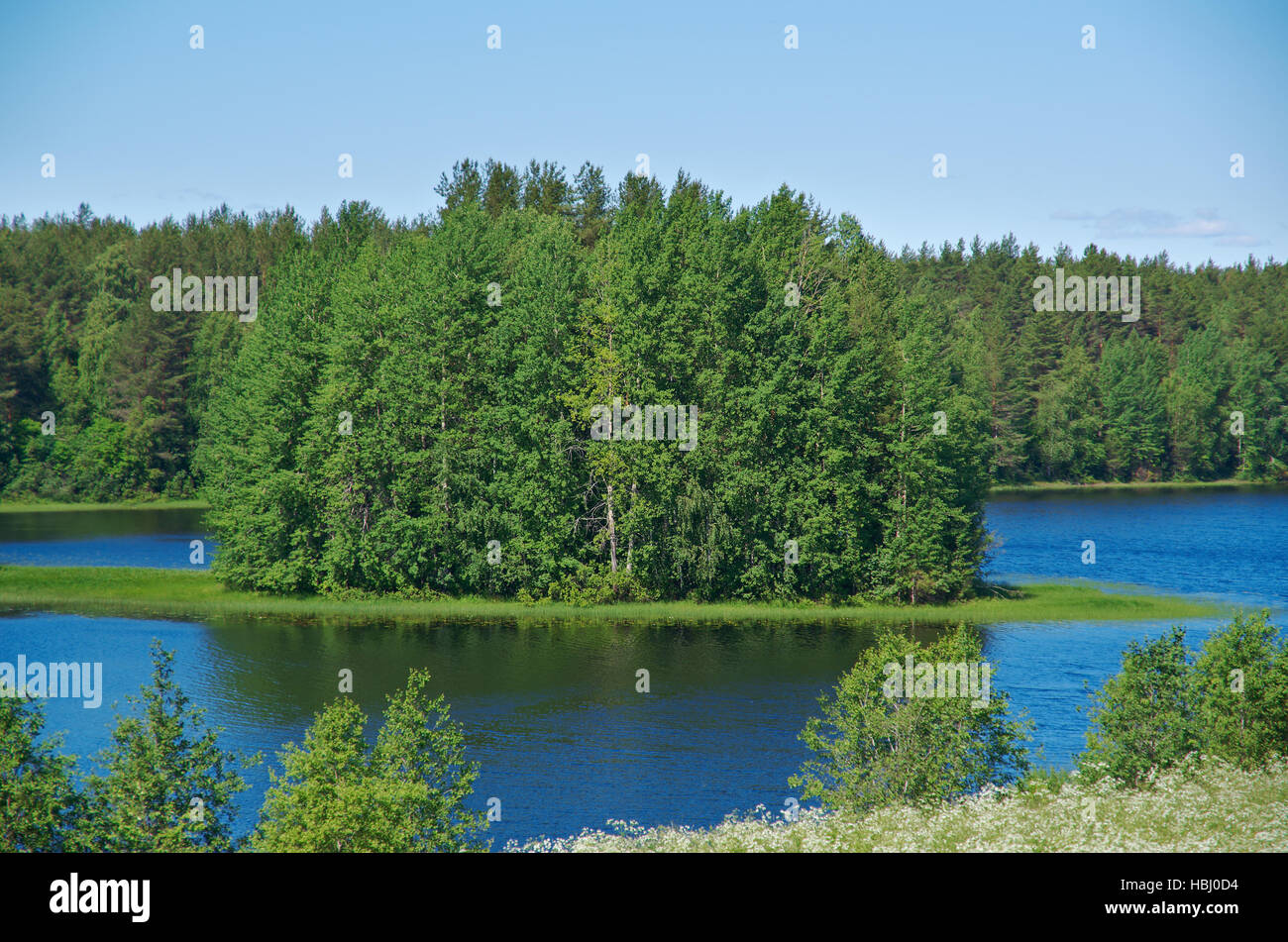 Wooded island on a lake Stock Photo - Alamy