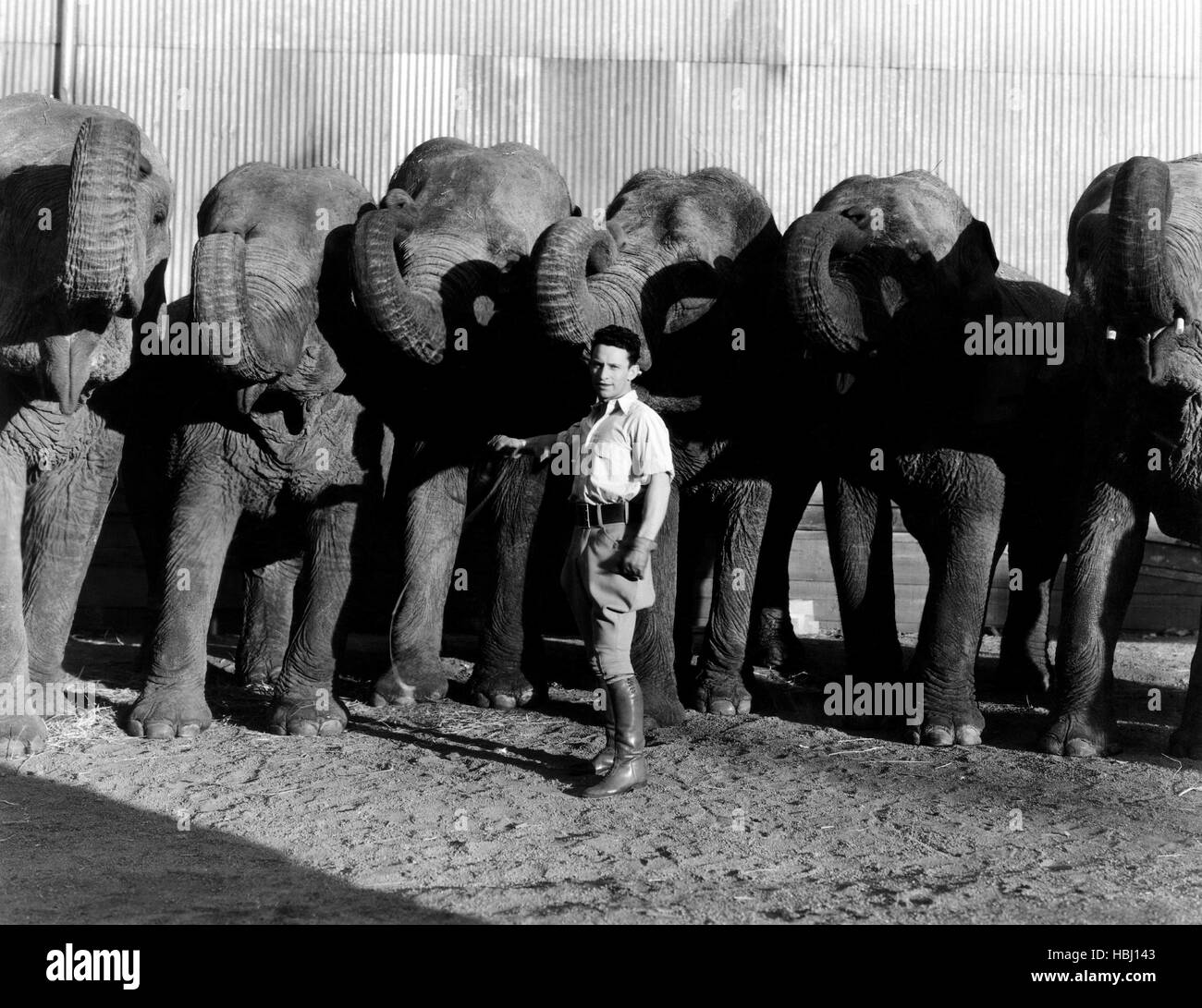 THE BIG CAGE, Clyde Beatty, 1933 Stock Photo - Alamy