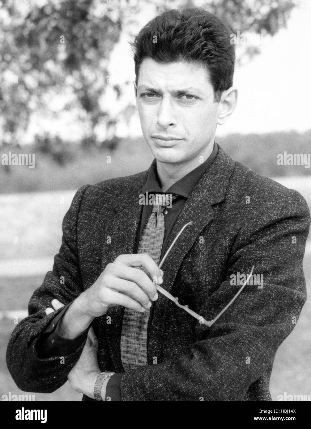 THE BIG CHILL, Jeff Goldblum, 1983. ©Columbia Pictures/courtesy Everett ...