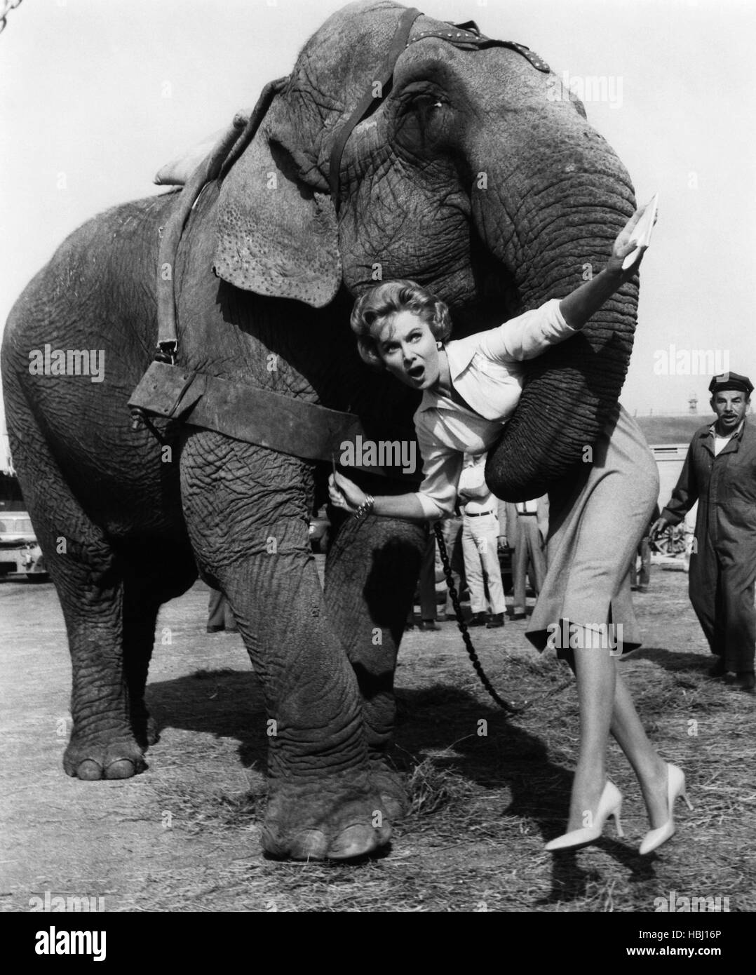 THE BIG CIRCUS, Rhonda Fleming, 1959 Stock Photo - Alamy