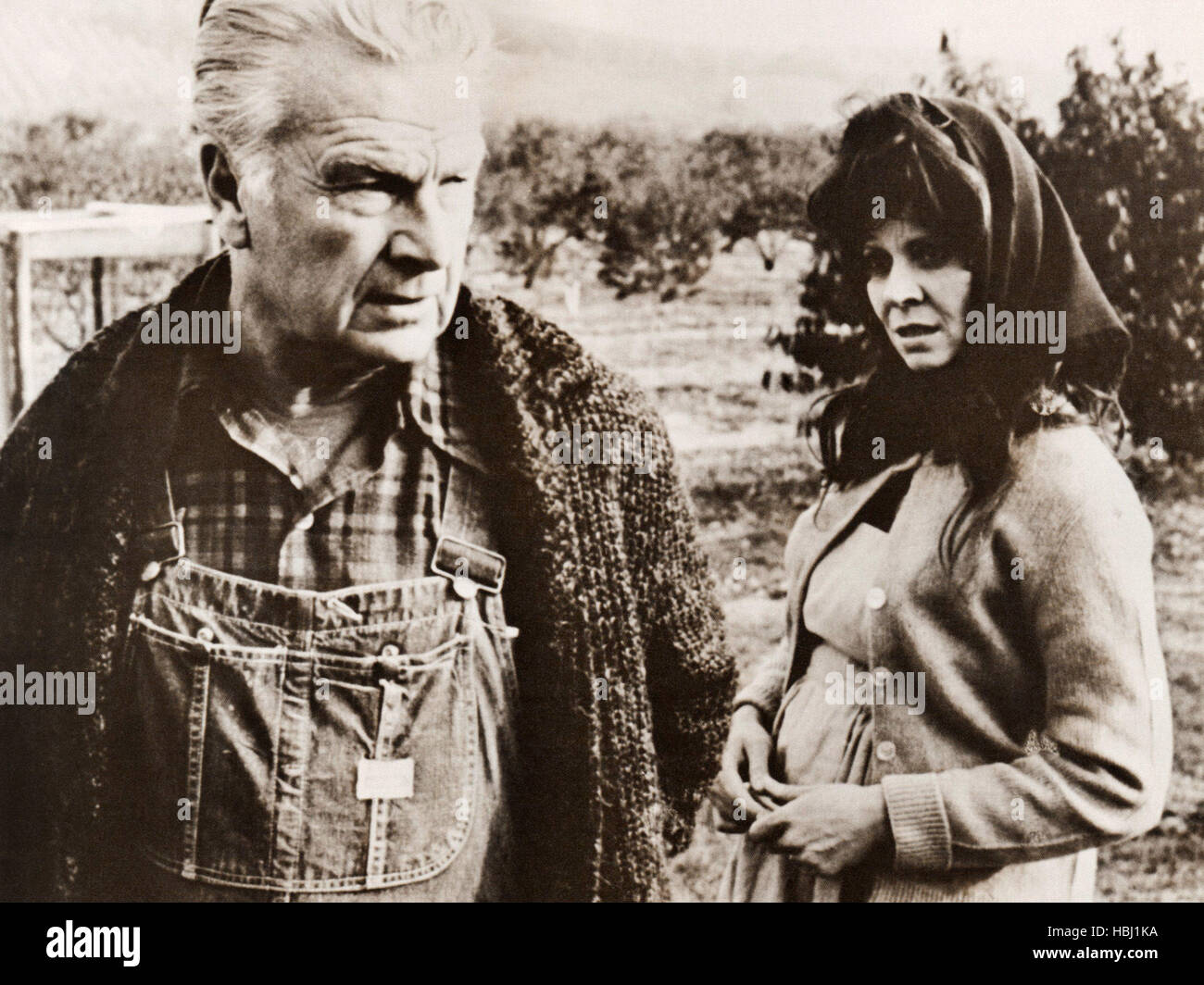 BIRCH INTERVAL, from left: Eddie Albert, Ann Wedgeworth, 1976 Stock ...