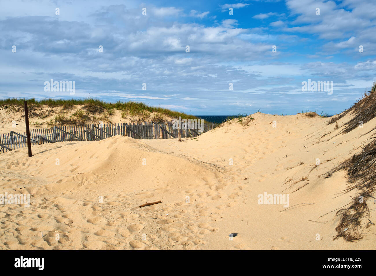 Landscape with sand dunes at Cape Cod Stock Photo - Alamy