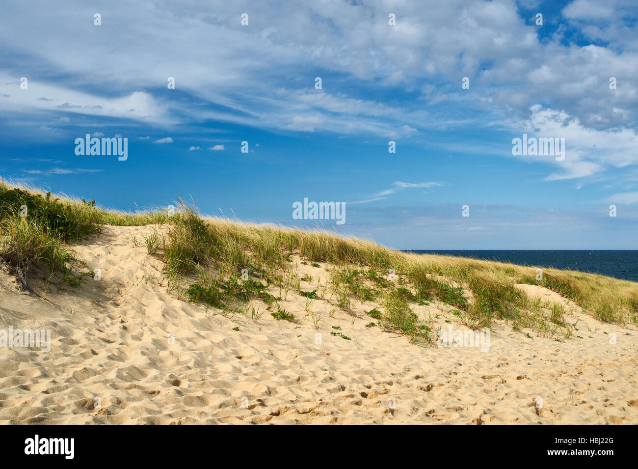 Cape cod sand dunes hi-res stock photography and images - Alamy