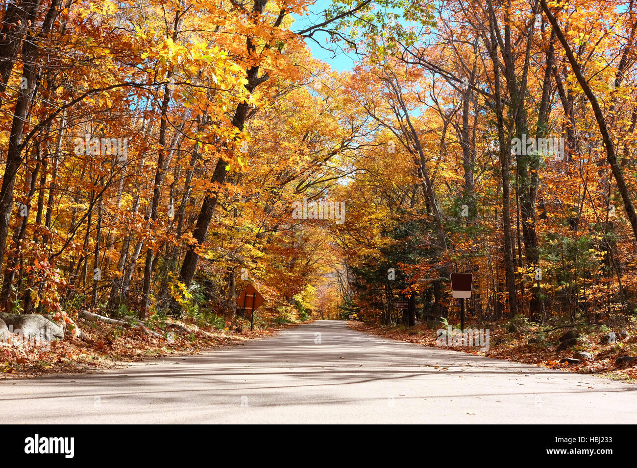 Autumn scene with road Stock Photo - Alamy
