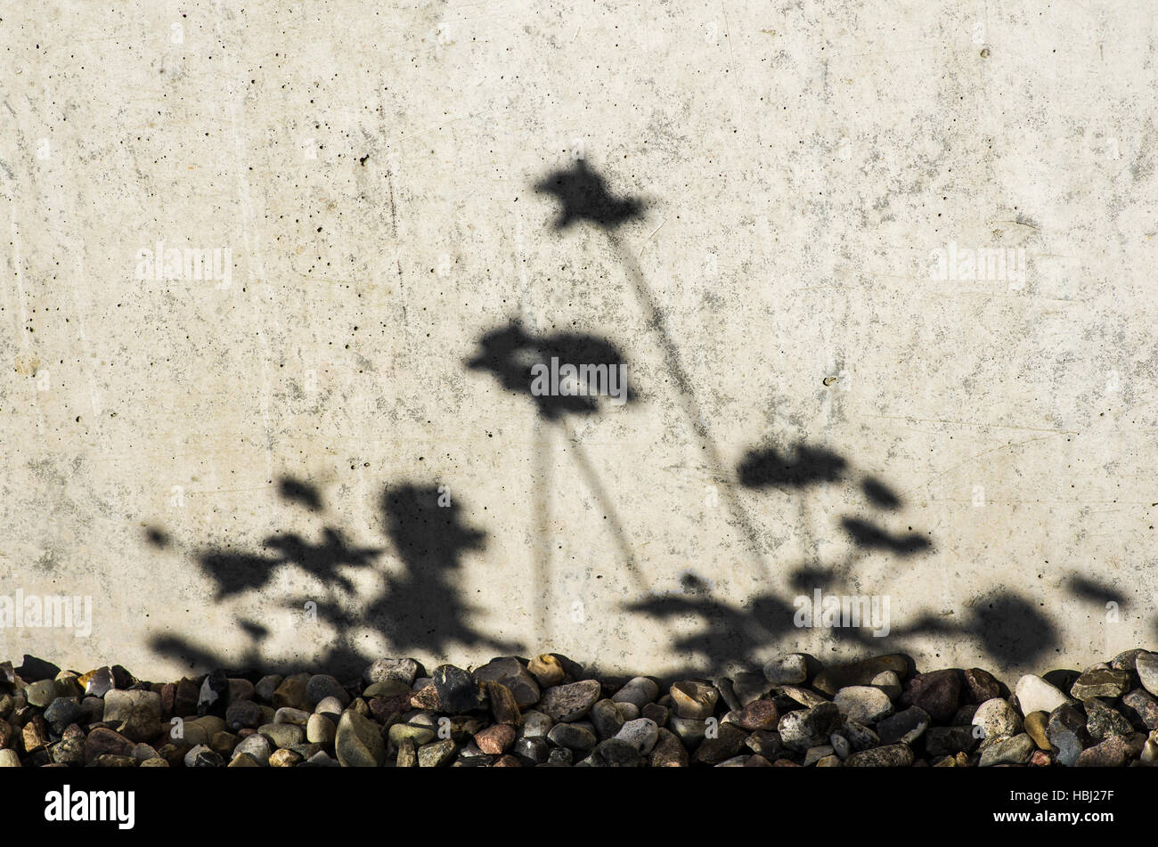 Shadow flowers hi-res stock photography and images - Alamy
