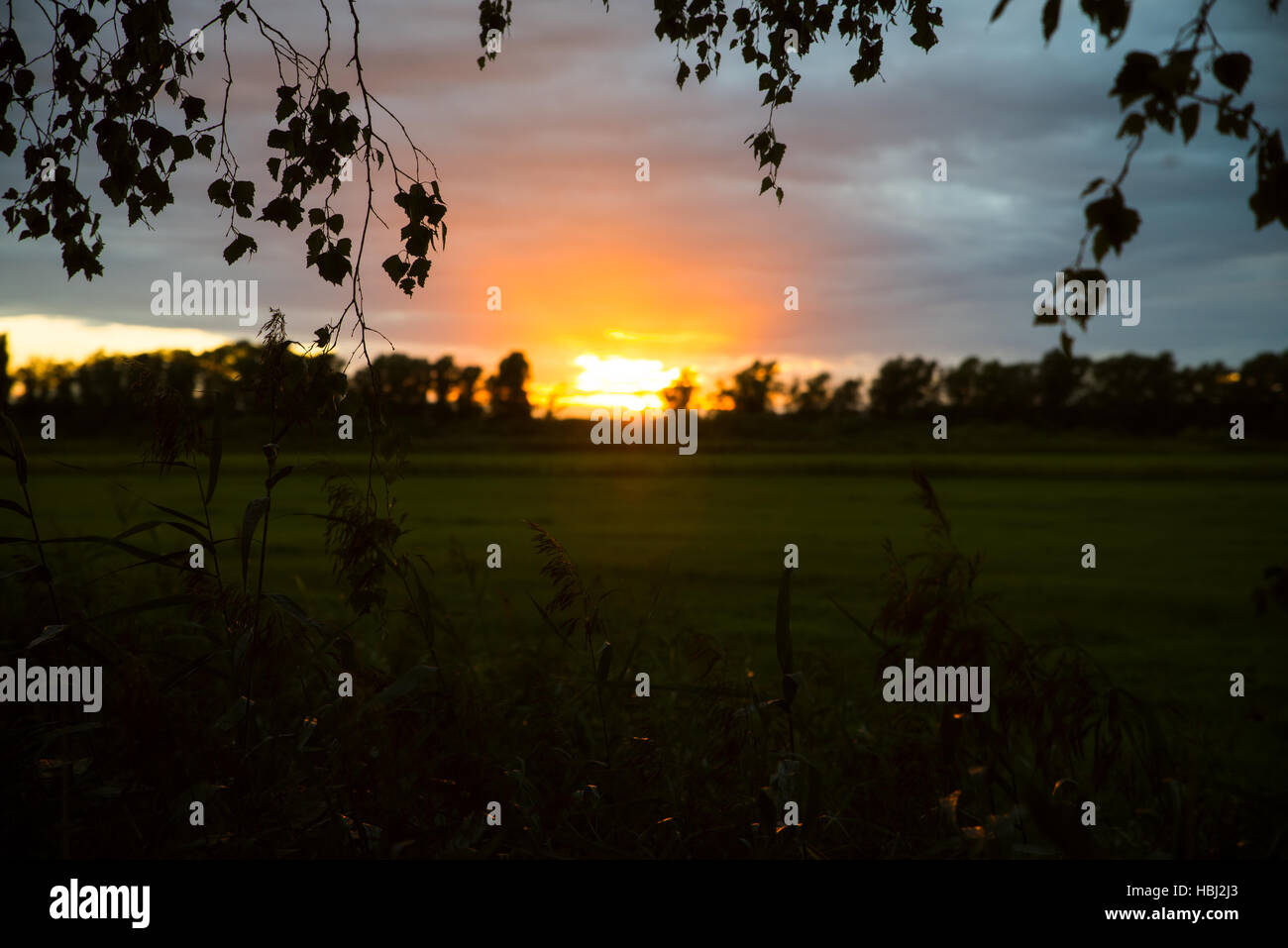 Sunset at the field edge Stock Photo - Alamy