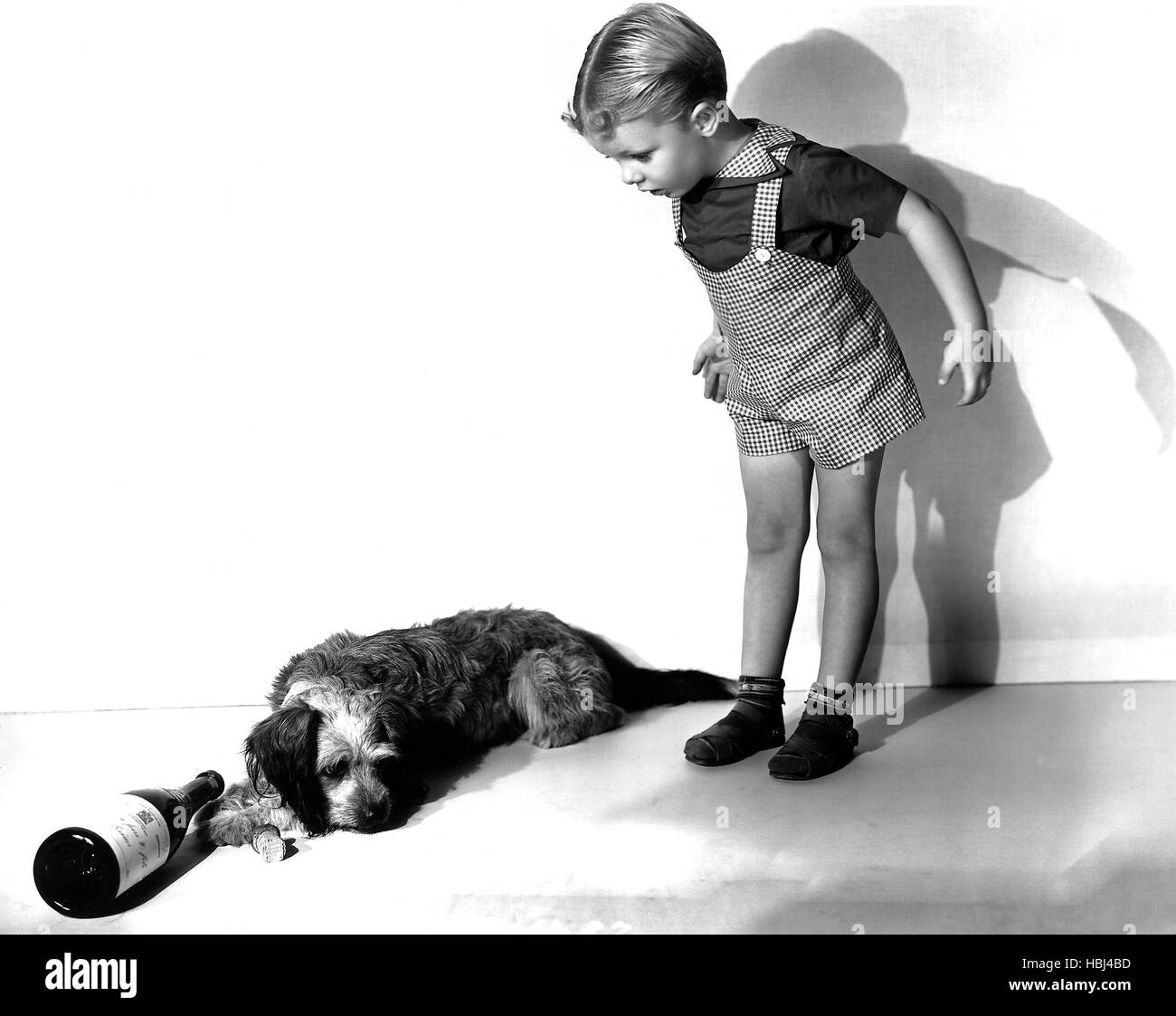 BLONDIE ON A BUDGET, Daisy the dog, Larry Simms, 1940 Stock Photo - Alamy