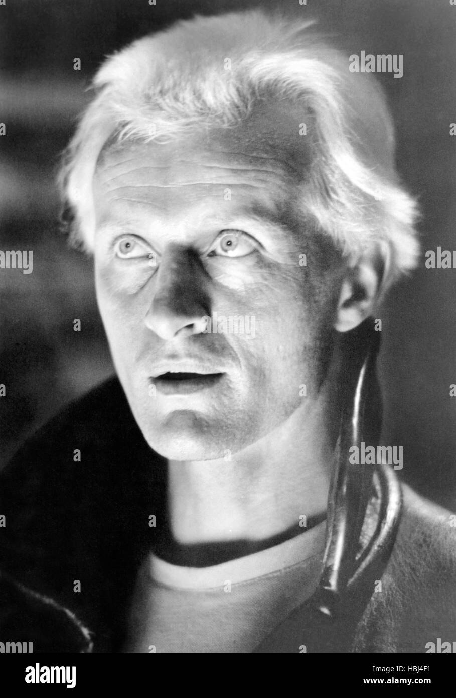 BLADE RUNNER, Rutger Hauer, 1982, ©Warner Bros/courtesy Everett ...