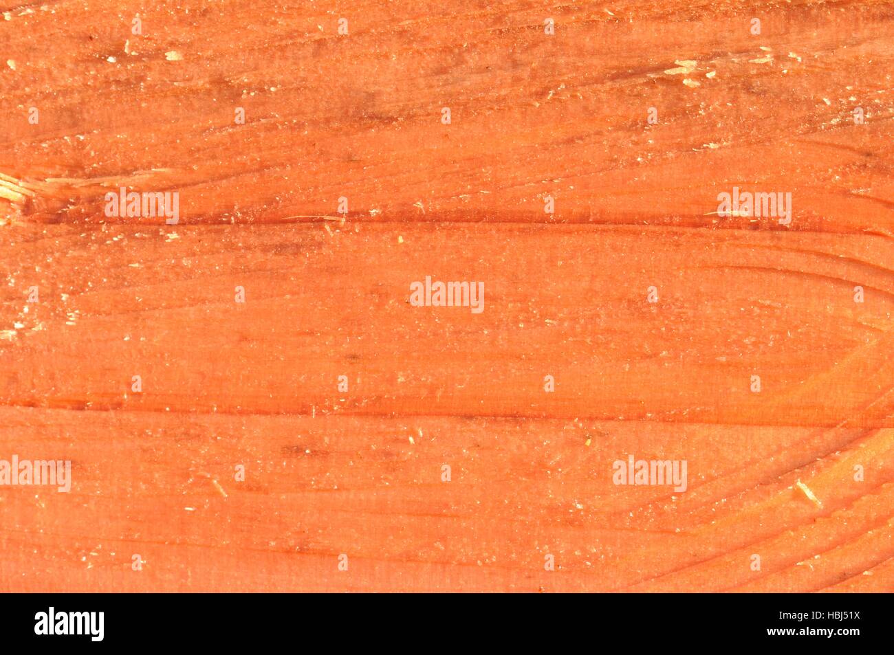 Sawed wood from trees hi-res stock photography and images - Alamy