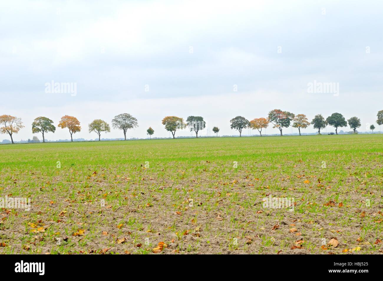 Autumn in the field Stock Photo - Alamy