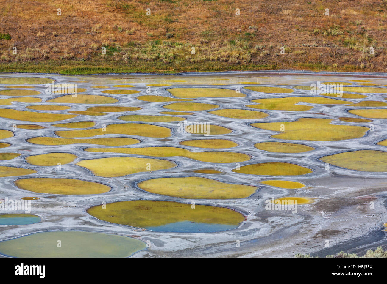 Spotted lake hi-res stock photography and images - Alamy