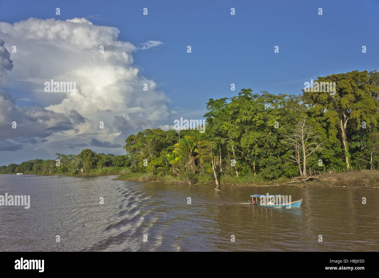 Amazon Basin, Brazil Stock Photo - Alamy