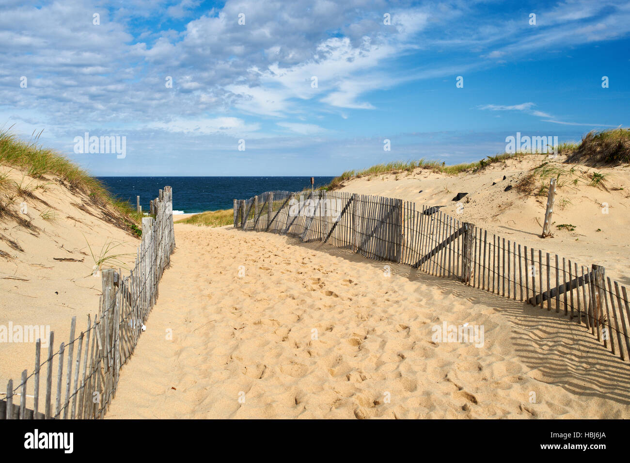Path way to the beach at Cape Cod Stock Photo - Alamy