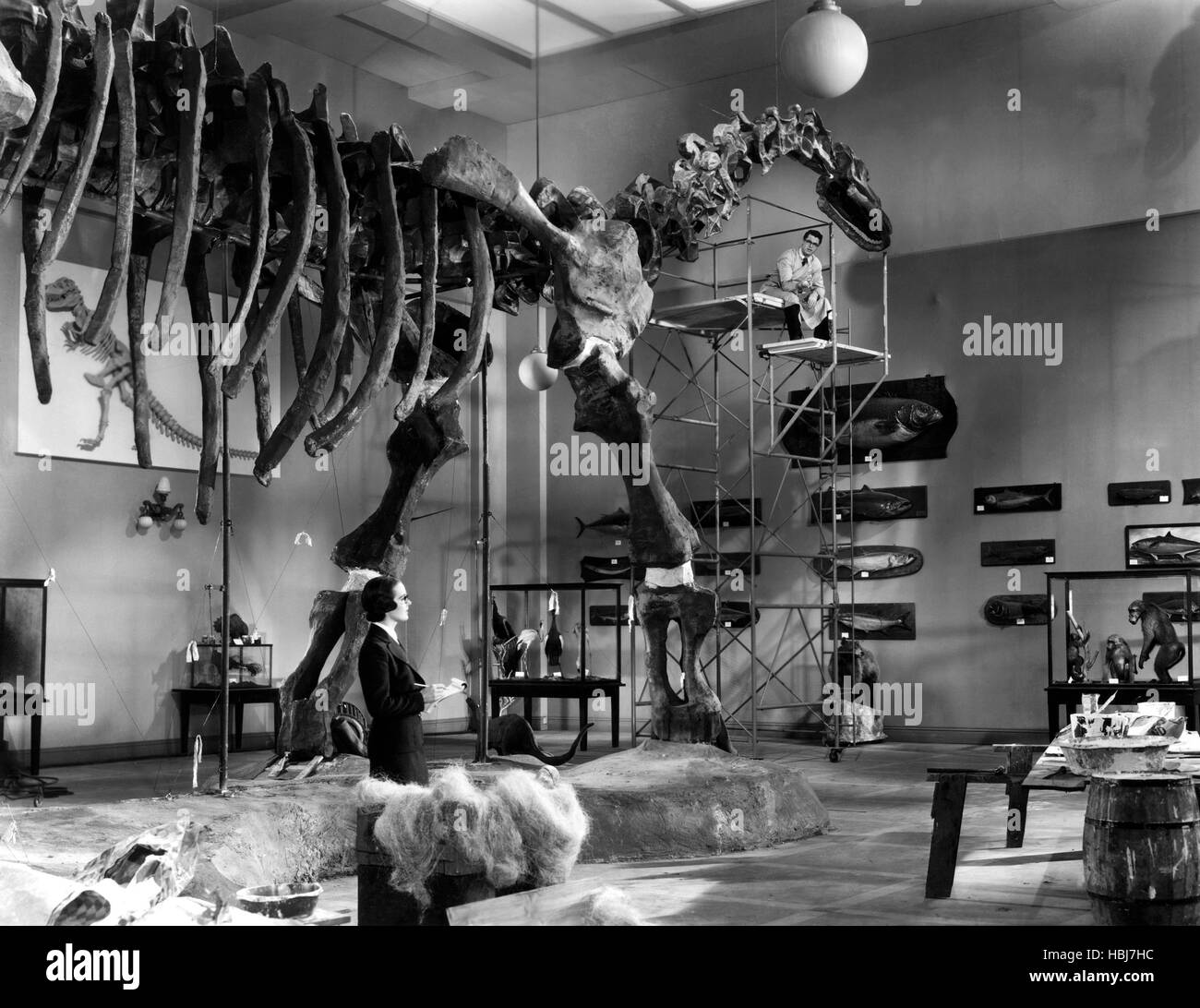 BRINGING UP BABY, Virginia Walker, Cary Grant, 1938 Stock Photo - Alamy