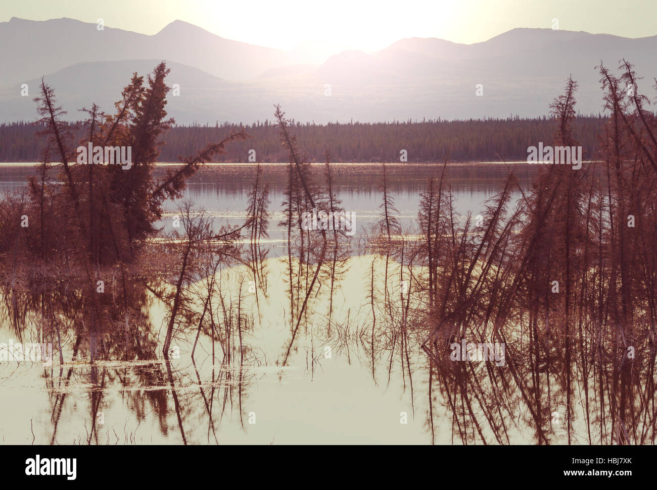 Lake in Alaska Stock Photo - Alamy