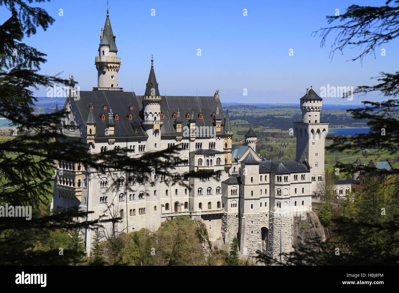 Neuschwanstein Castle in the Bavarian Alps Stock Photo - Alamy